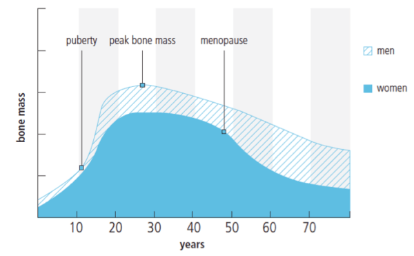 Why and how to measure bone density. Who should have a dexa scan